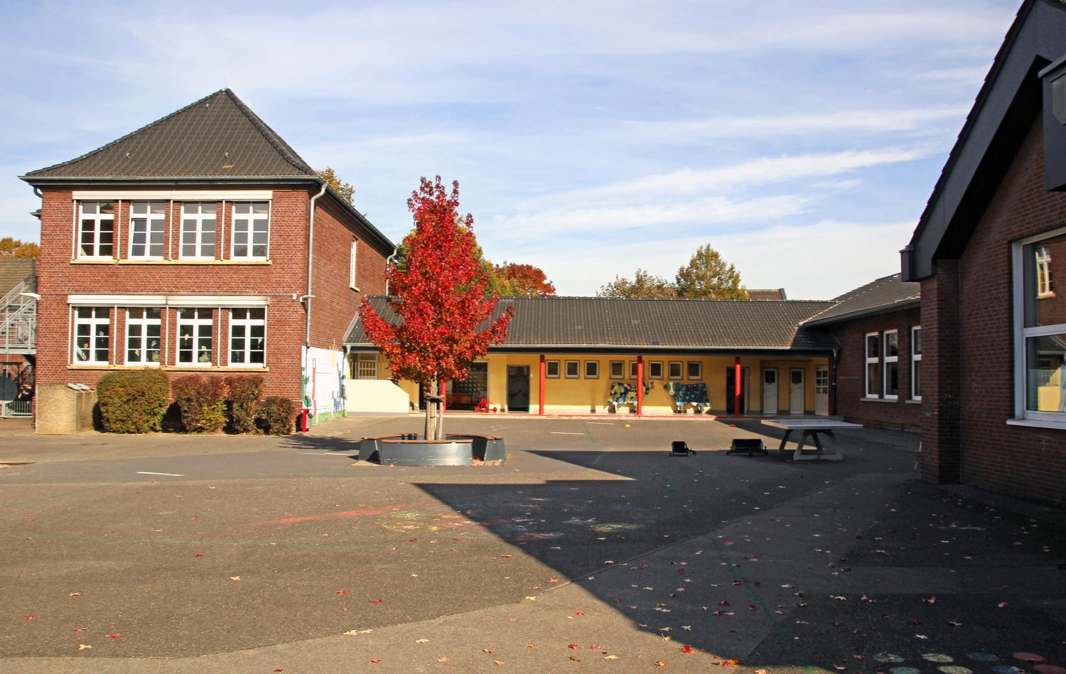 Grüner Schulhof - Förderprogramme | Haus des Stiftens