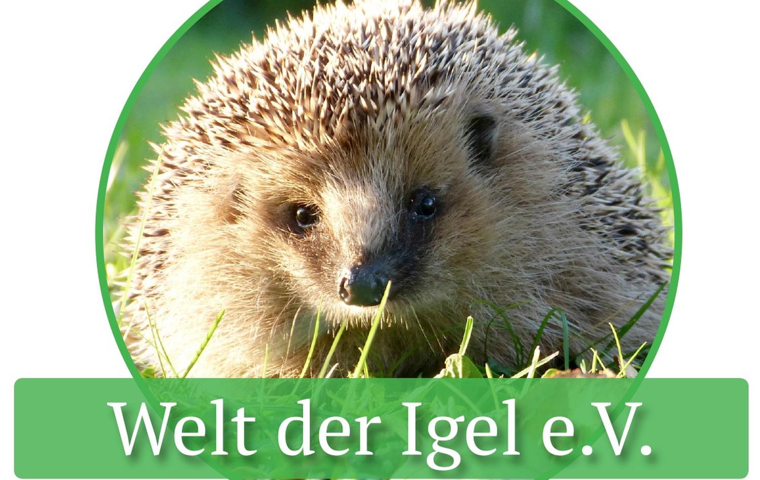 Welt der Igel e.V. - Förderprogramme | Haus des Stiftens