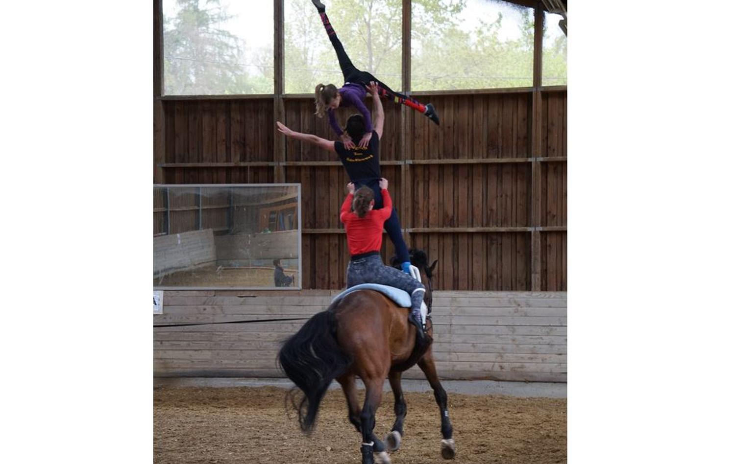 Voltigier- und Pferdesportverein Cevalo e.V. - Förderprogramme | Haus ...