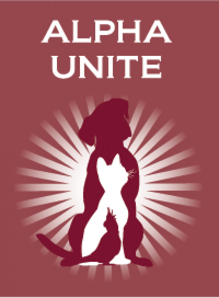 Alpha Unite e.V. - Förderprogramme | Haus des Stiftens