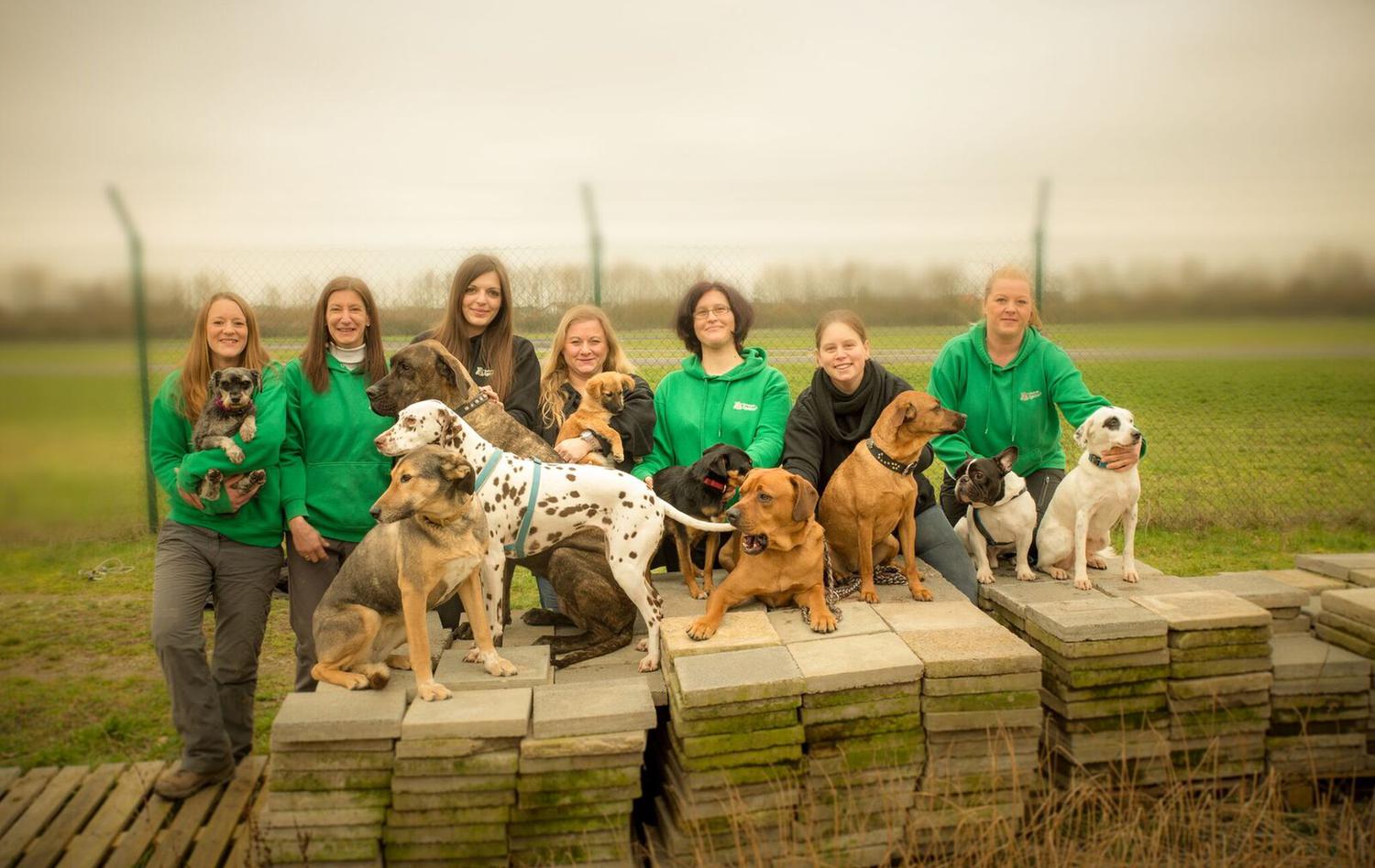 Tier-Rettungs-Dienst Frankfurt e.V. - Förderprogramme | Haus des Stiftens